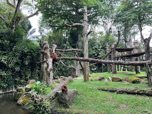 RepTopia (Singapore Zoo) - reviews,open hours,photo spots,things to do ...