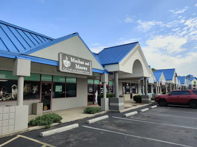 Mochas and Meows - reviews,open hours,photo spots, things to do ...