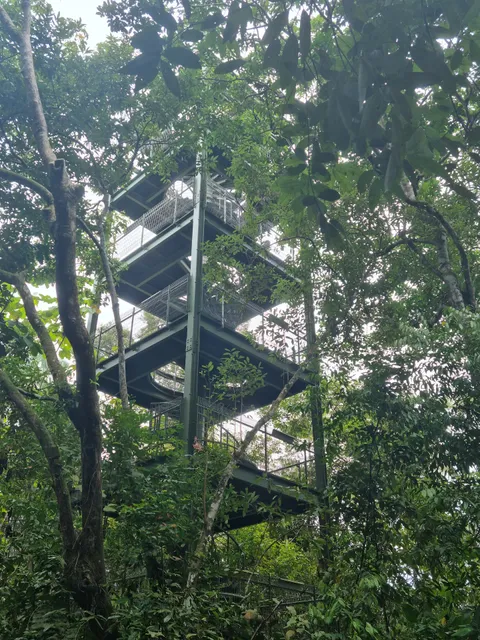 Jelutong Tower in Singapore, Singapore - reviews,open hours,photo spots ...