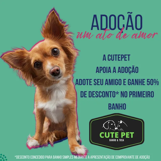 Cute Pet Banho & Tosa Caucaia in R. José Manuel de Oliveira, 410 ...