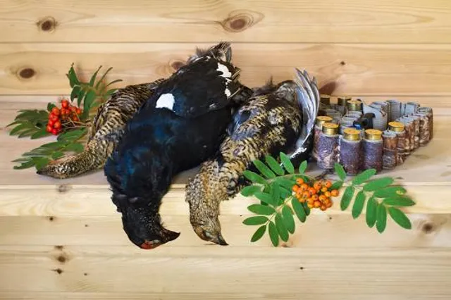 Kaiyodo Kappa Museum - reviews,open hours,photo spots,things to do ...