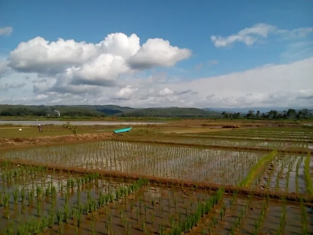 Pulo Majeti Heritage Site - reviews,open hours,photo spots,things to do ...