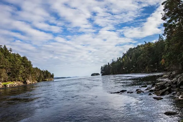 Cable Bay Trail - reviews,open hours,photo spots,things to do ...