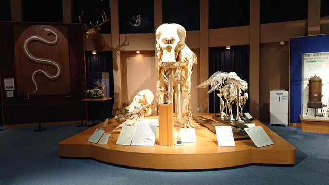 Azabu University Life Museum - reviews,open hours,photo spots,things to ...