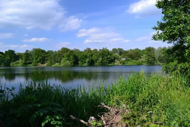 Sevenoaks Wildlife Reserve - Kent Wildlife Trust - reviews,open hours ...