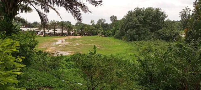 Deido plage - reviews,open hours,photo spots,things to do | WanderBoat ...