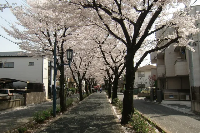 Promenade with flower and greenery - reviews,open hours,photo spots ...