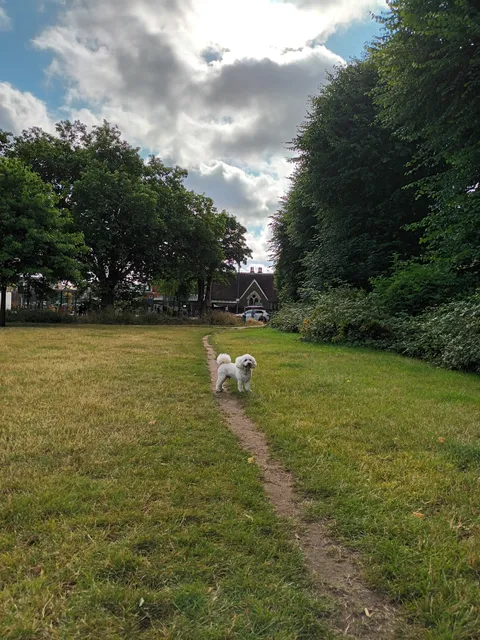 Putney Common - reviews,open hours,photo spots,things to do ...