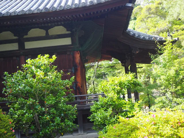 Eifuku-ji Shoryoden - reviews,open hours,photo spots,things to do | WanderBoat AI Trip Planner