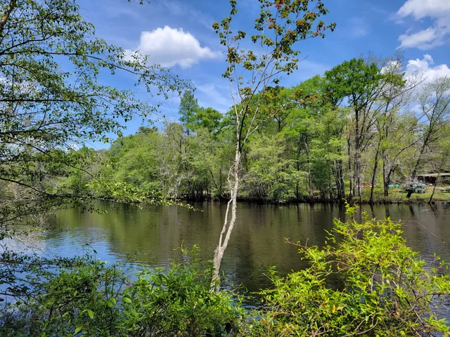 Colleton State Park - reviews,open hours,photo spots,things to do ...