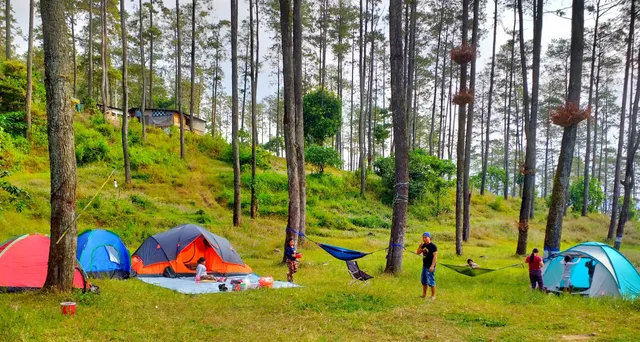 Pacet Camping Ground - reviews,open hours,photo spots,things to do ...