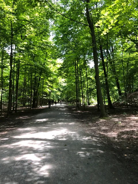 Beltline Trail - reviews,open hours,photo spots,things to do ...