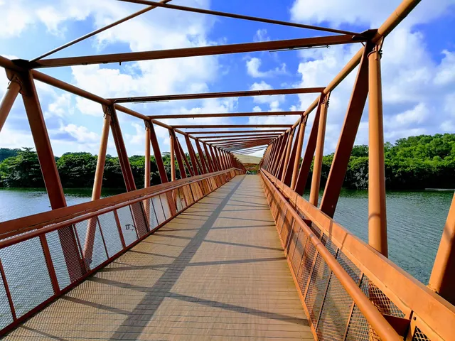 Lorong Halus Wetland - reviews,open hours,photo spots,things to do ...