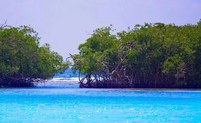 La Matica - reviews,open hours,photo spots,things to do | WanderBoat AI ...