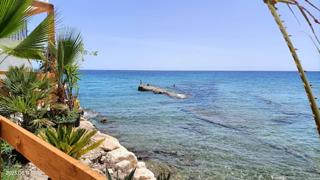 Shukran Beach Club - reviews,open hours,photo spots, things to do ...