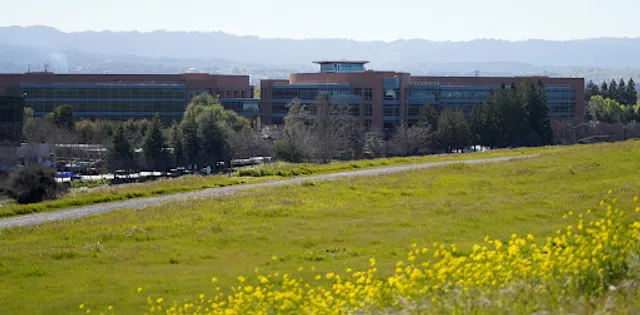 Google 2000 - reviews,open hours,photo spots,things to do | WanderBoat ...