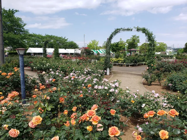 Rose garden - reviews,open hours,photo spots,things to do | WanderBoat ...