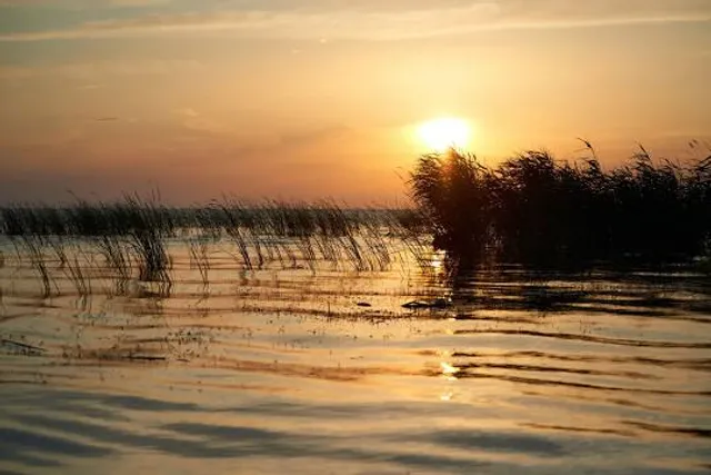 Tampara Lake - reviews,open hours,photo spots,things to do | WanderBoat ...