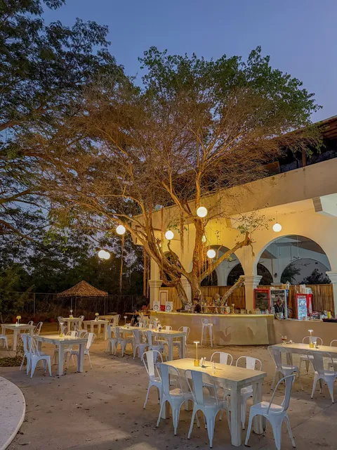 La Perla Seafood & Oyster Bar - Blvd. Benito Juárez 95-Sector P, P ...