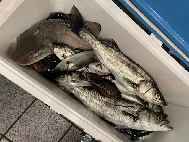 居酒屋〇食べ（WATABE） - reviews,open hours,photo spots, things to do ...