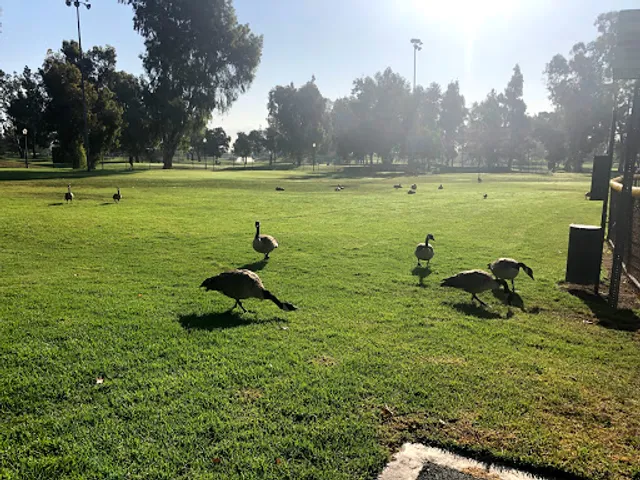 Almansor Park Baseball Field - reviews,open hours,photo spots,things to ...