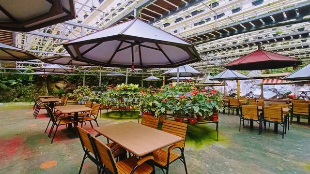 Agro Highlands Cafe - reviews,open hours,photo spots, things to do ...