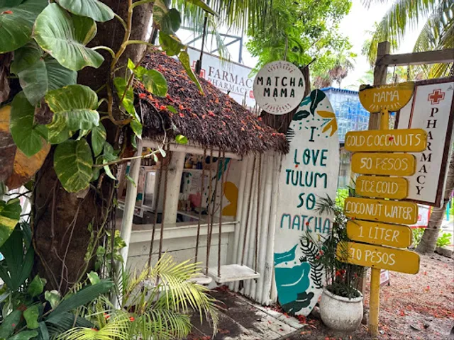 Matcha Mama - reviews,open hours,photo spots, things to do | WanderBoat ...