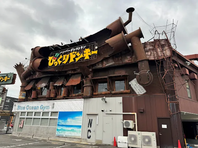 Bikkuri Donkey - reviews,open hours,photo spots, things to do ...