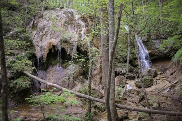 Falls Ridge Preserve - reviews,open hours,photo spots,things to do ...