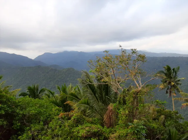 Bukit Bengkaung Lembah Sari - reviews,open hours,photo spots,things to ...