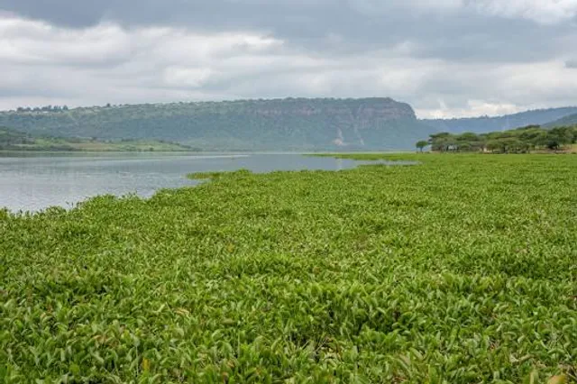 Inanda Dam - reviews,open hours,photo spots,things to do | WanderBoat ...