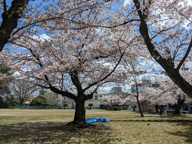 Harumi Park - reviews,open hours,photo spots,things to do | WanderBoat ...