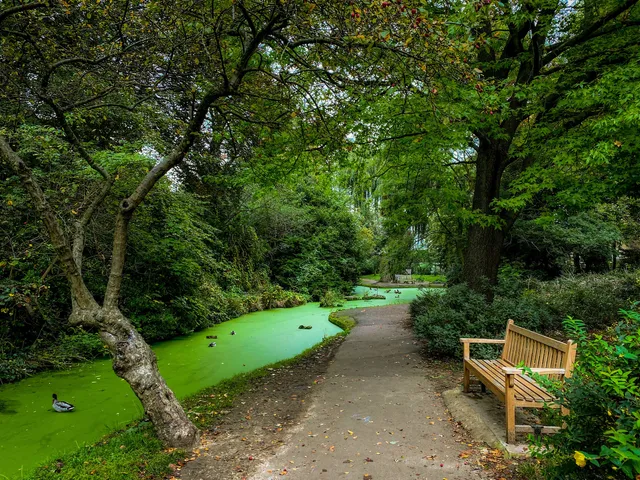 New River Walk - reviews,open hours,photo spots,things to do ...