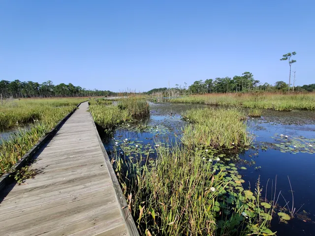 Big Branch Marsh National Wildlife Refuge - reviews,open hours,photo ...