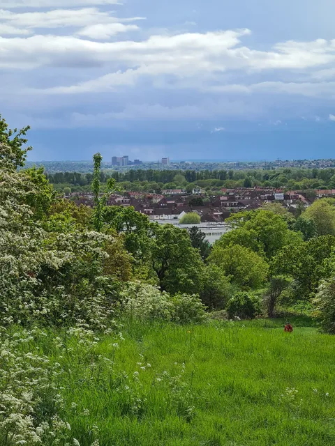 Pollards Hill - reviews,open hours,photo spots,things to do ...