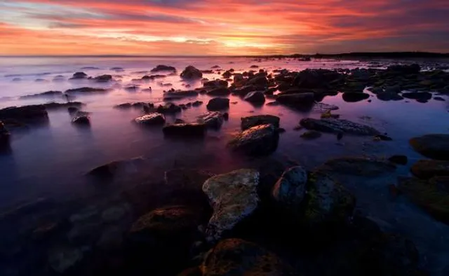 Long Reef Point - reviews,open hours,photo spots,things to do ...