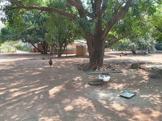 Things to Do in Kasane, Chobe District, Botswana - Discover The Top ...