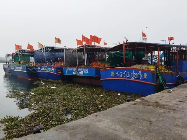 Neendakara Fishing Harbour - reviews,open hours,photo spots,things to ...