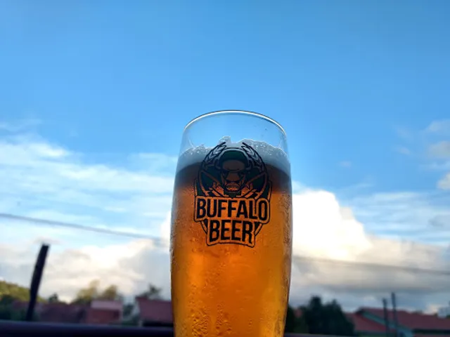 Buffalo Beer - reviews,open hours,photo spots, things to do ...