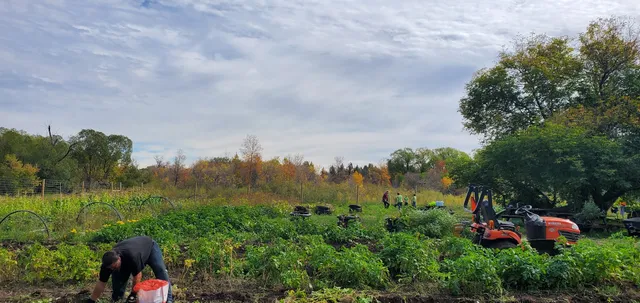 Mosaic Community Food Farm And Orchard in Moose Jaw, Canada - reviews ...