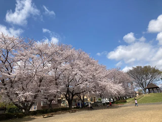 Kippo Park - reviews,open hours,photo spots,things to do | WanderBoat AI Trip Planner