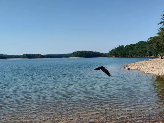 HOLLY BAY - reviews,open hours,photo spots,things to do | WanderBoat AI ...