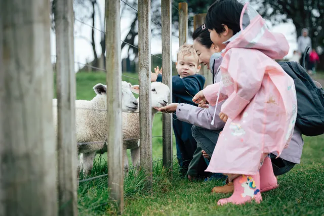 Kauri Seeds Preschool in 24 King George Avenue, Epsom, Auckland 1023 ...