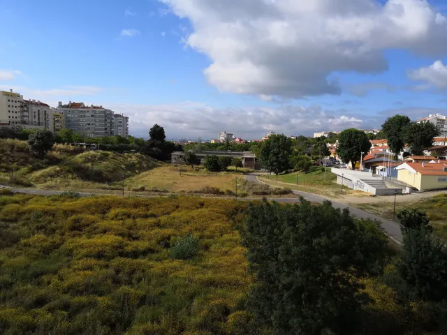 Parque do Vale Fundão - reviews,open hours,photo spots,things to do ...