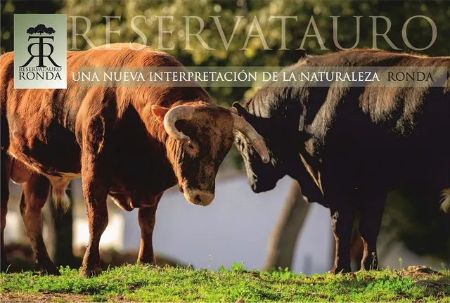 Reservatauro Ronda - reviews,open hours,photo spots,things to do ...