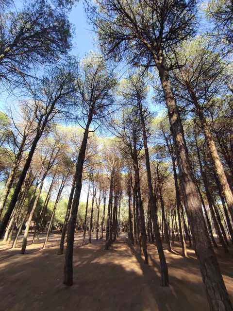 Bouchaoui Park - reviews,open hours,photo spots,things to do ...