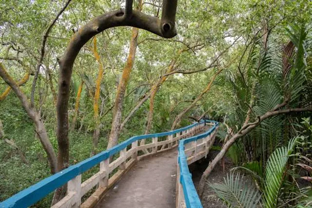 Taki Golpata Forest - reviews,open hours,photo spots,things to do ...