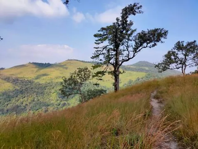 Kottamala View Point - reviews,open hours,photo spots,things to do ...