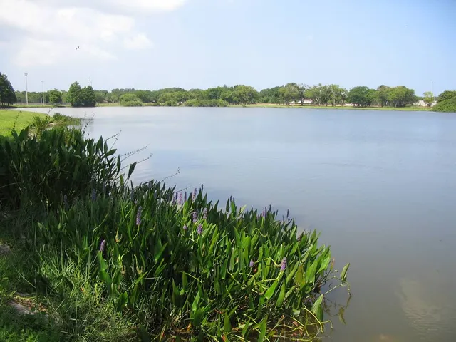 Lake Belleview - reviews,open hours,photo spots,things to do ...