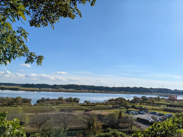 Konoyama-Momoyama park - reviews,open hours,photo spots,things to do | WanderBoat AI Trip Planner